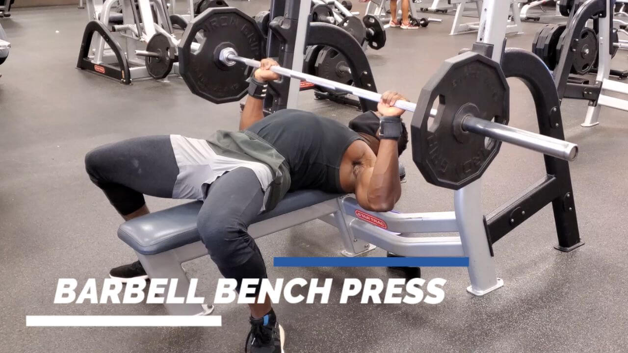 Antagonist Muscle In Bench Press